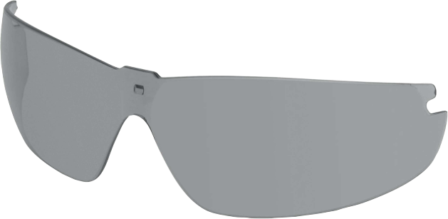 Denali Replacement Lens - Grey; Anti-Fog - Product - Delta Plus