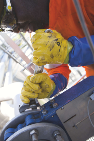 EOS OBM VV911 - Product - Delta Plus